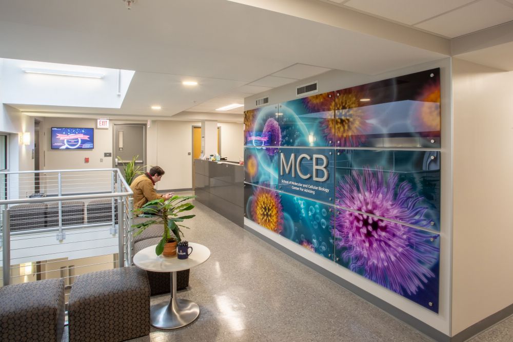 BLDD Architects | Burrill Hall: School of Molecular & Cellular Biology